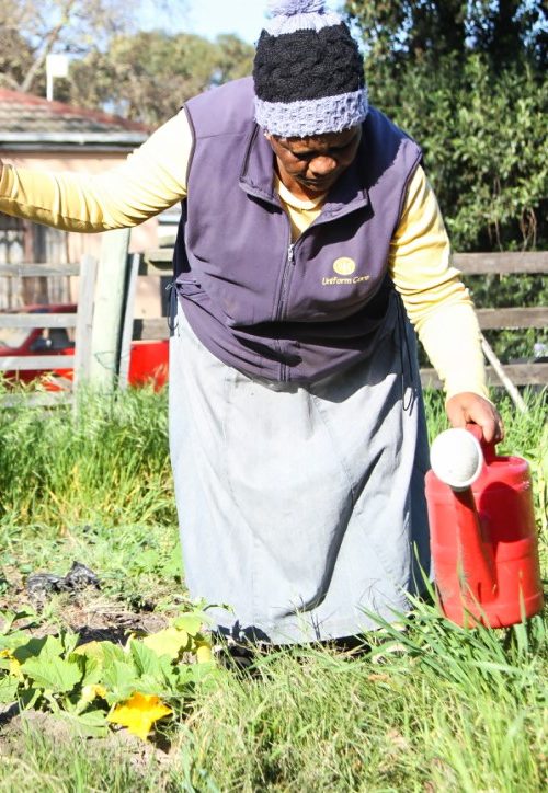 %Community Development% % % %Mamelani Projects%